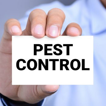 California Pest Control Courses | Pest Control Continuing Education